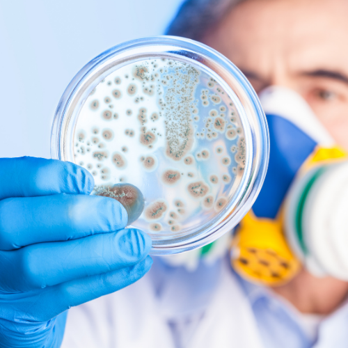 Viruses and Bacteria in Indoor Air